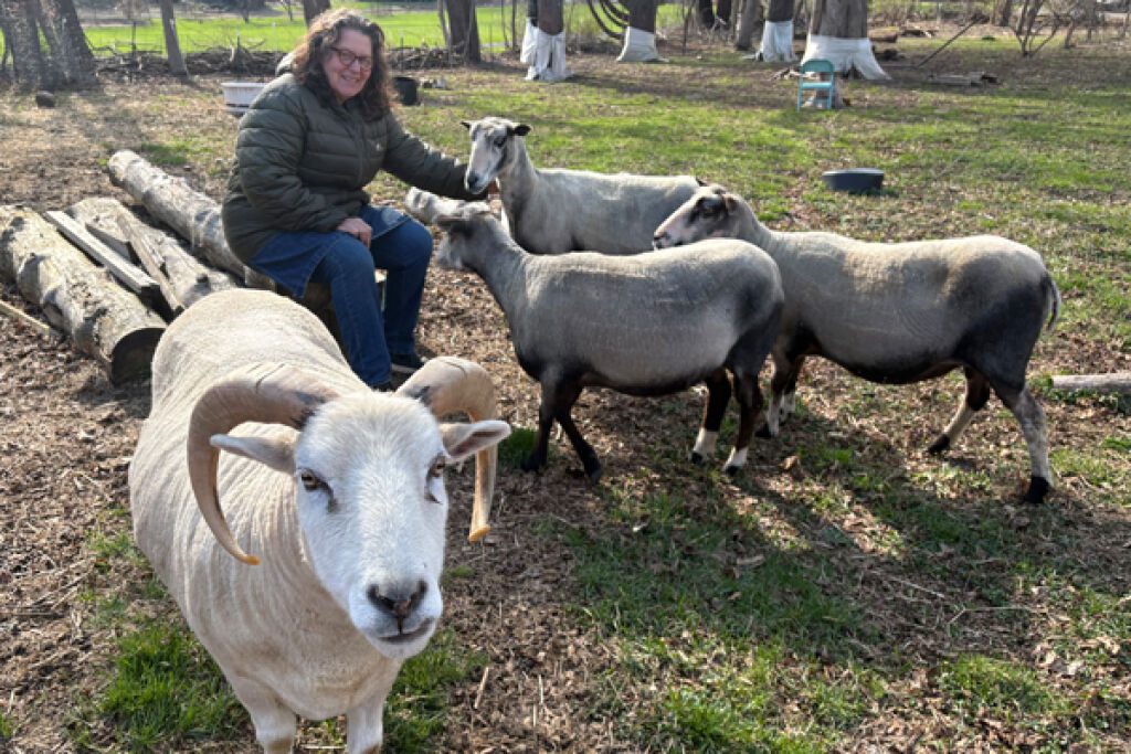Stone Ridge Sheep Farm Opens Doors For Fiber Tour