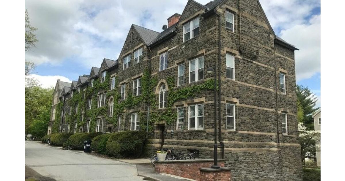 Bard College names new Director of Graduate Studies at the Milton Avery ...