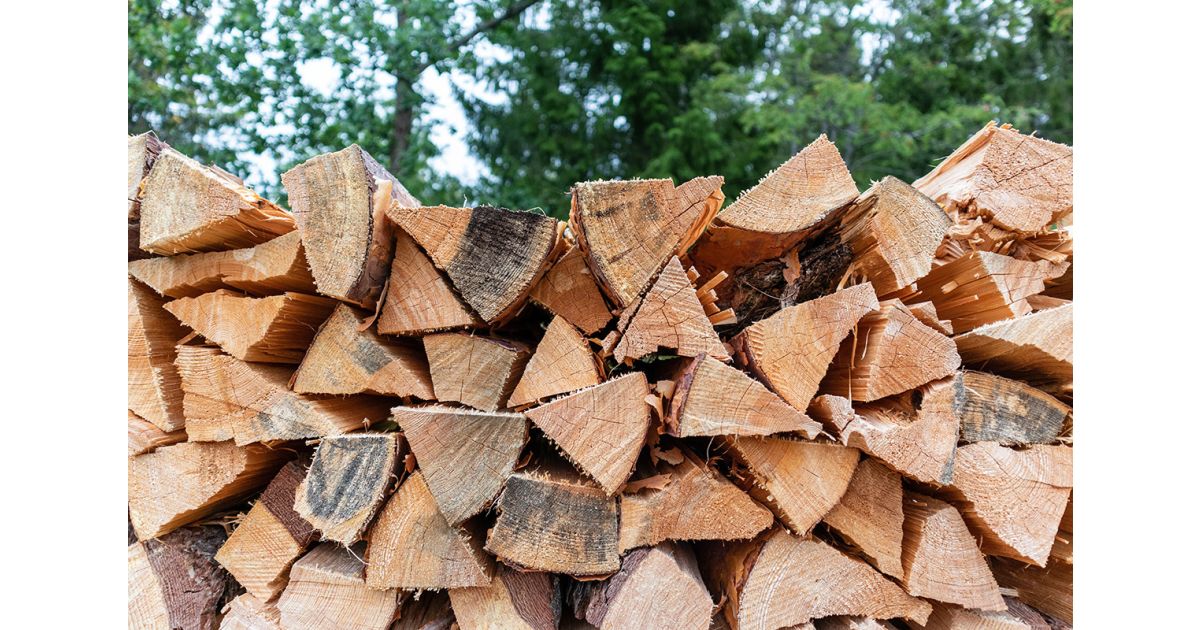 Buying Firewood? Don't Forget to Get a Receipt!