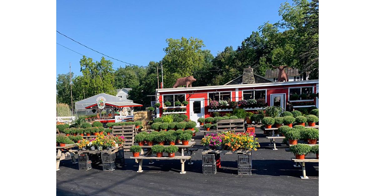 The Details of A Bullville Revival