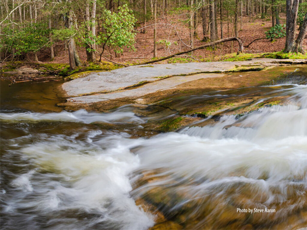 How a Great Swimming Hole Stayed Open