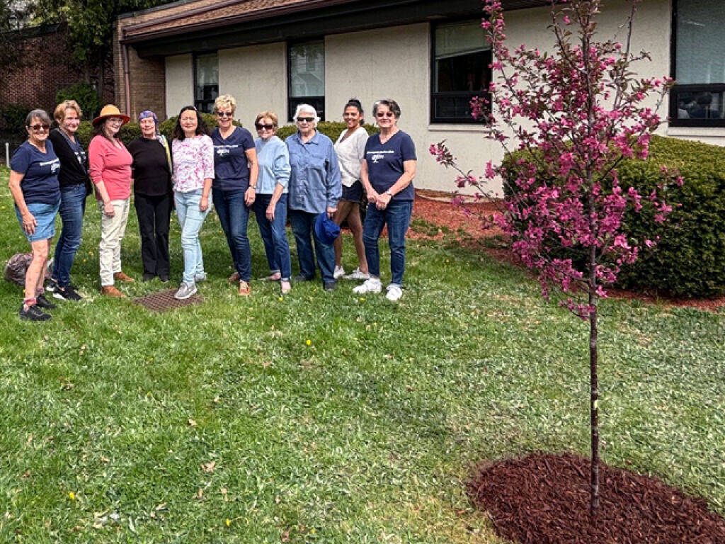 Garden Club Plants Pidge Collier Memorial Tree