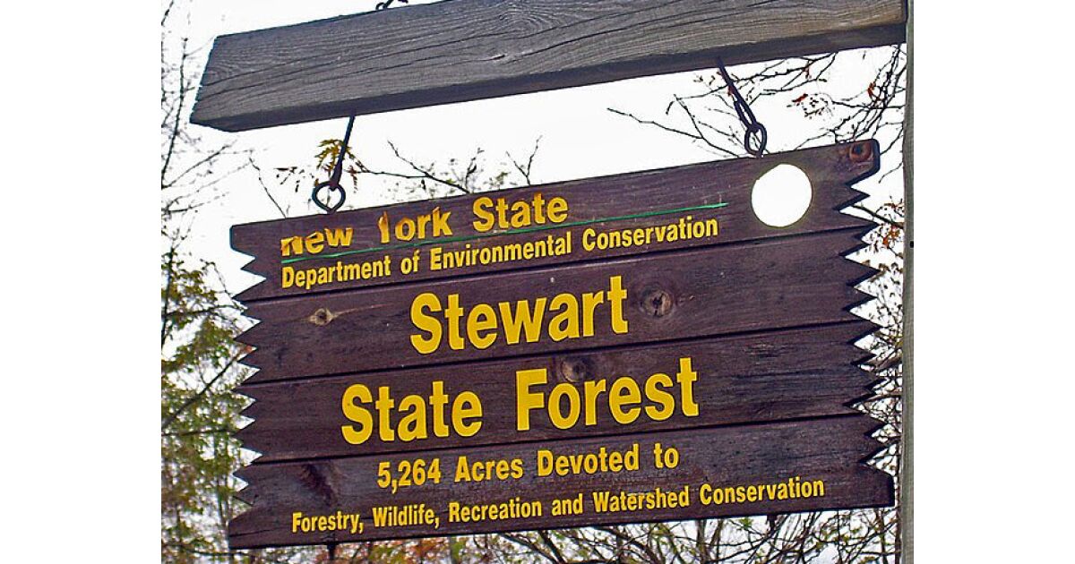 Hunter Shot in Face at Stewart State Forest