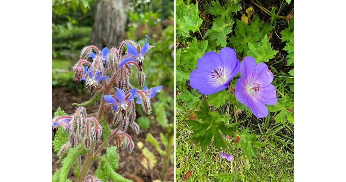 Rondout Valley Garden Tour: A Day of Beauty and Generosity