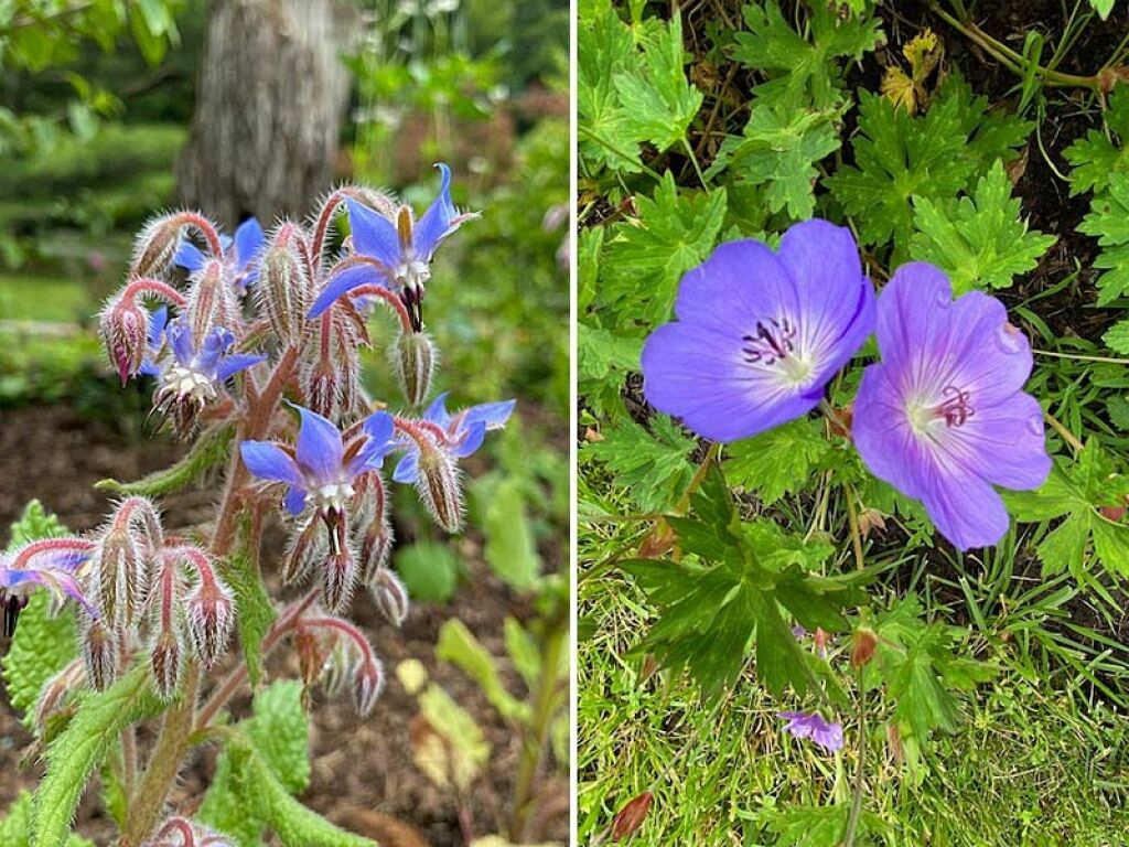 Rondout Valley Garden Tour: A Day of Beauty and Generosity