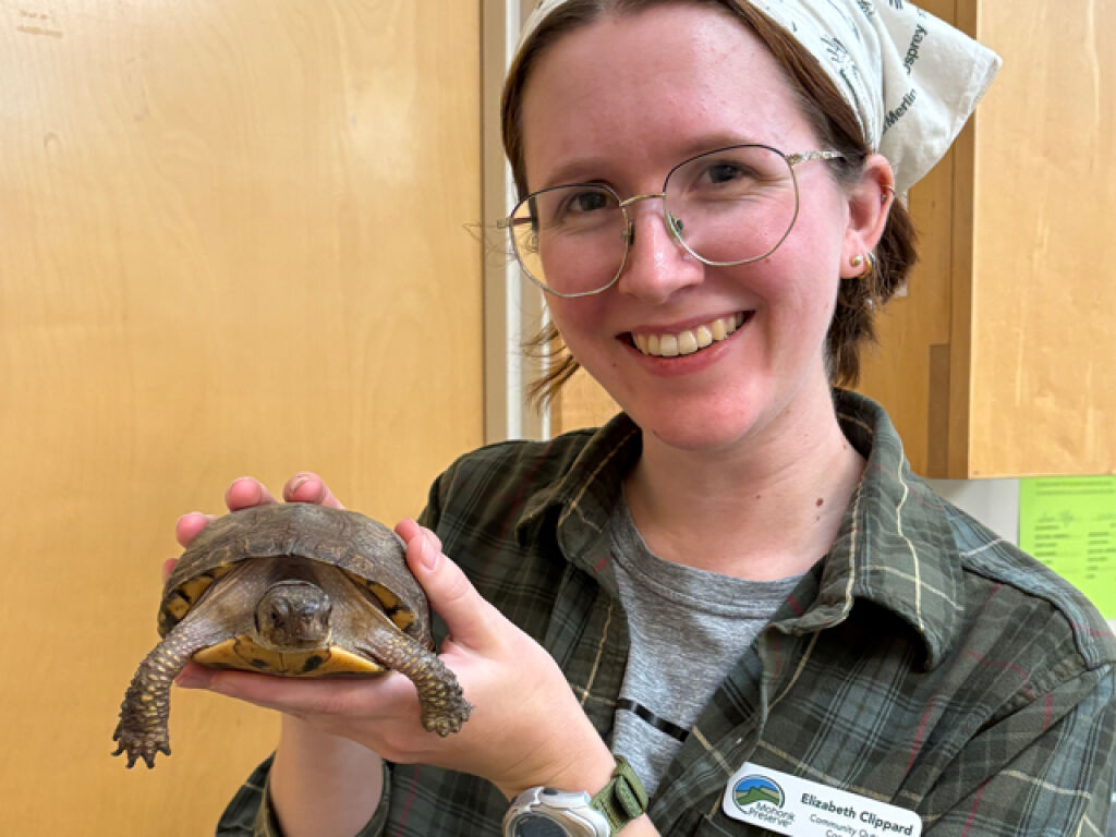 We Spent an Afternoon with Mohonk Preserve’s Turtle Mascot